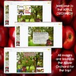 Virtual Field Trip Experience - How to set the stage for impact