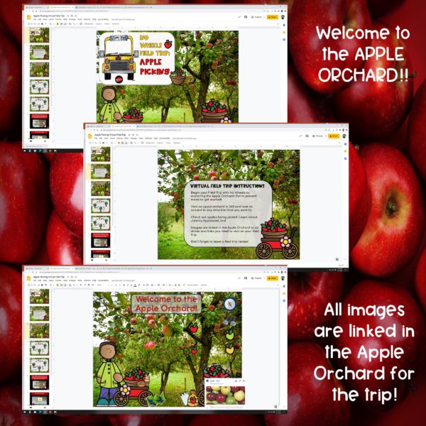 Virtual Field Trip Experience - How to set the stage for impact